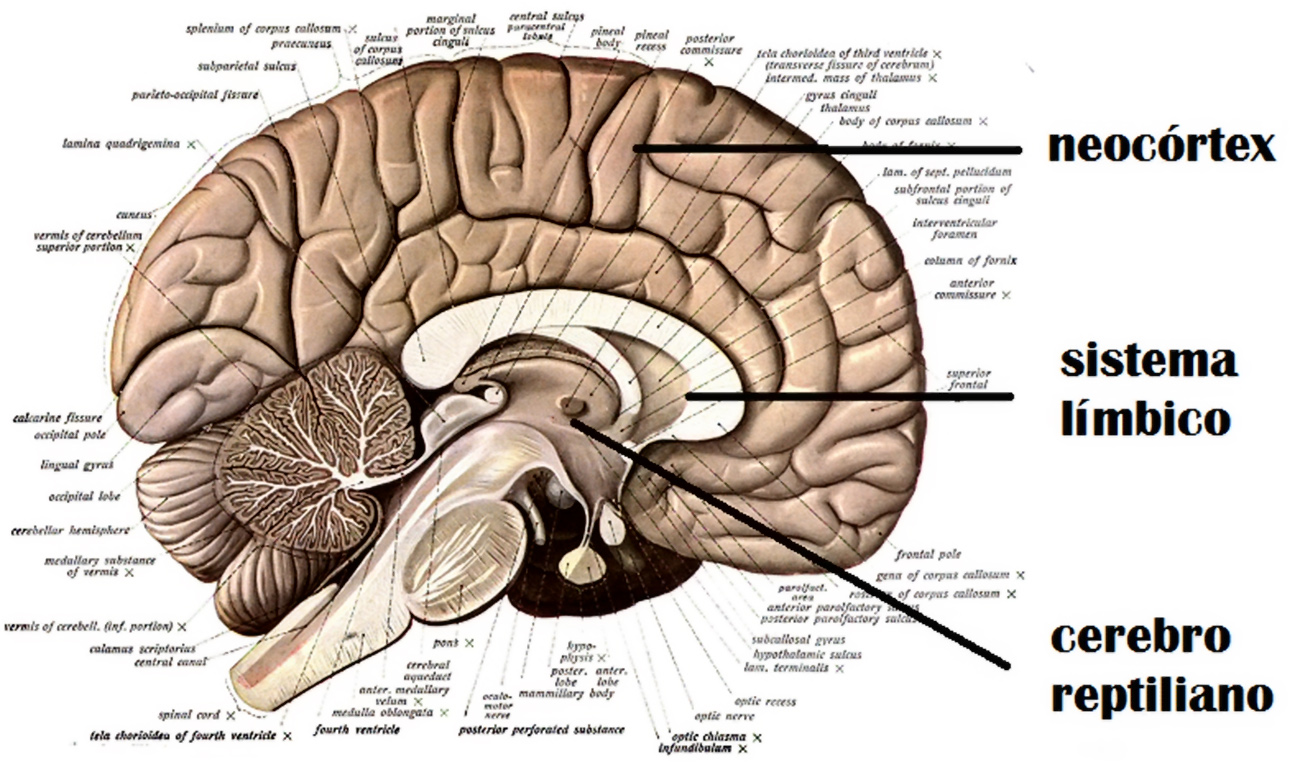 O Complexo-R; A herança genética Reptiliana ⋆ Outro Mundo